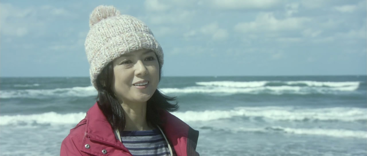 わさお Wasao (2011) - Chú chó Akita - Japan, My Love